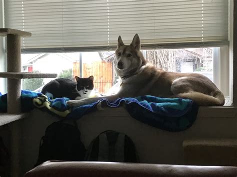 Stache Stella Album On Imgur