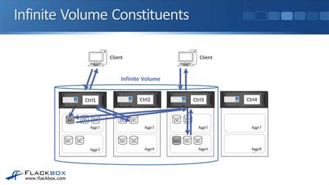netapp flexgroups tutorial flackbox