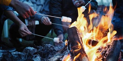 10 Best Rectangular Wood Burning Fire Pit Burner Reviewed You Must