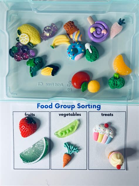 miniature food sorting kit sorting objects preschool sorting task bo