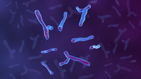 Bifidobacterium 3d Turbosquid 2213918