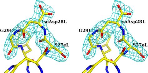 Stereo Drawing Of The Fo − Fc Electron Density Map And Residues Around Download Scientific