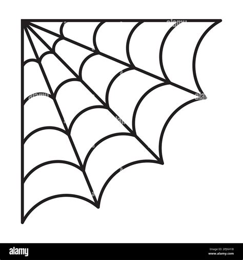 Corner Spider Web Images