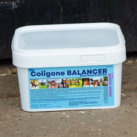 Balancer Powder Equestrian Business