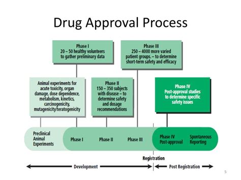 Fda Drug Approval Process Steps At Maggie Martinez Blog