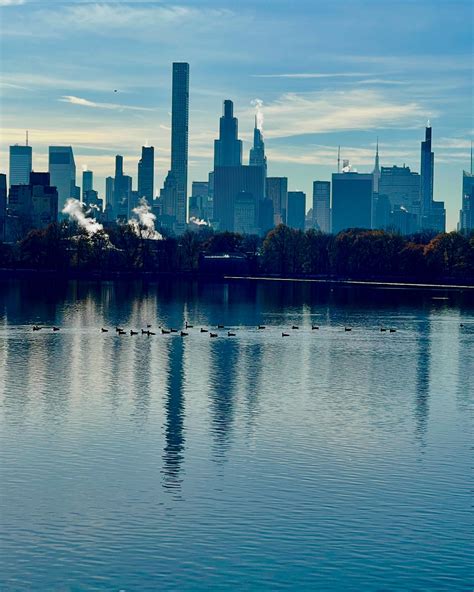 Diego Vainesman Diegovainesmandesign • Instagram Photos And Videos