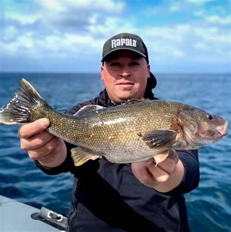 Perca Trucha Rapala Chile