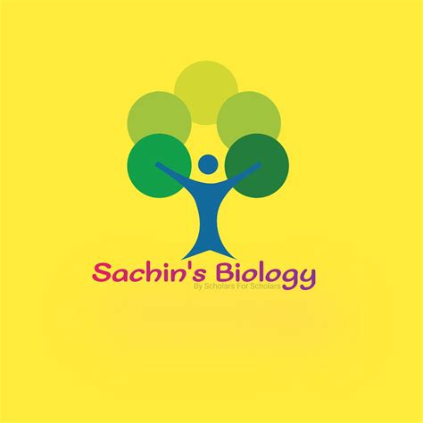 General Characteristics Of Algae 7 Classes By