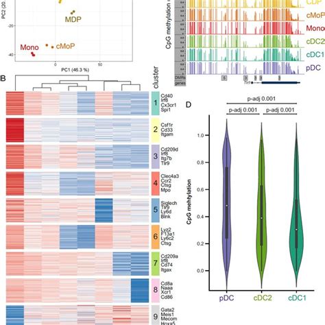 Whole Genome Dna Methylation Data Of Dc And Monocyte Lineages A Pca Download Scientific