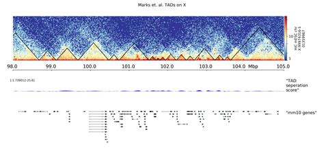 Hi C Analysis Of Mouse Escs Using Hicexplorer — Hicexplorer 372 Documentation