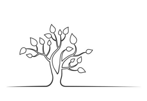 Tree Of Life Outline Vector Art Icons And Graphics For Free Download