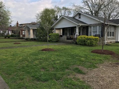 Exploring Different Soil Types Nashville Tree Conservation Corps