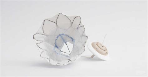Fda Approves Self Expanding Tendyne Tmvr Device From Abbott