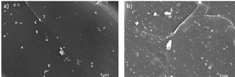 Scanning Electron Microscope Sem Of A 01 Sicep Composite And B