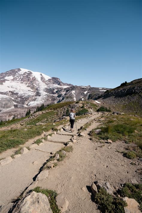 How To Hike The Skyline Loop Trail Mt Rainier Oceanus Adventure