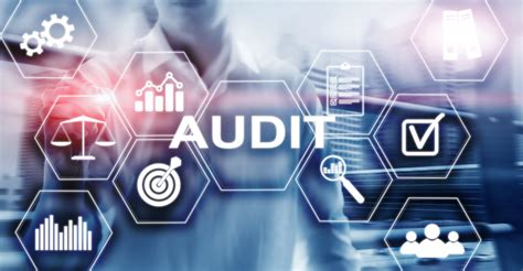 Enabling Data Driven Audits What Audit Firms Can Learn From
