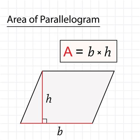 3 Hundred Area Of A Parallelogram Formula Royalty Free Images Stock