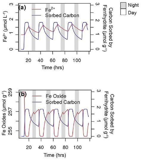 Simulation Of Doc Sorptiondesorption To Feiii Oxides In Relation To