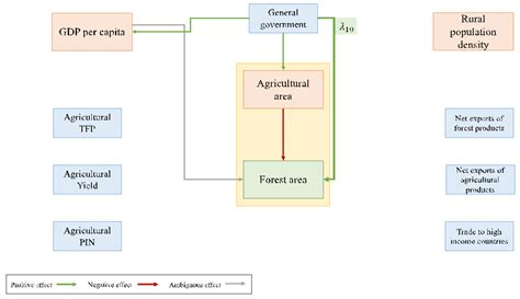 Long And Short Run Forest Dynamics An Empirical Assessment Of Forest