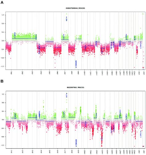 Comparison Of The Copy Number Aberrations Of The Case Presented Here Download Scientific