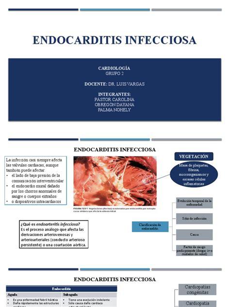 Clasificación De Endocarditis Infecciosa Pdf Microbiología Medicina