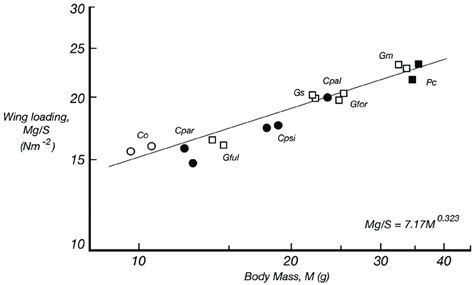 Wing Loading Mgs Plotted On Logarithmic Coordinates Against Body Mass