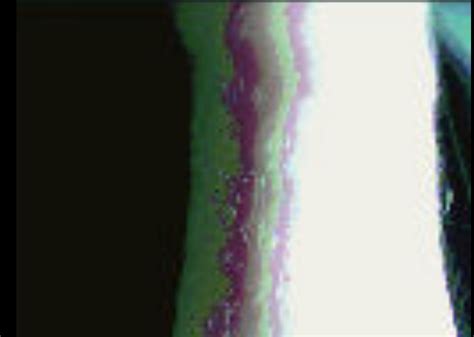 Github Raphael Gandustinyml Projets Pratiques Tinyml