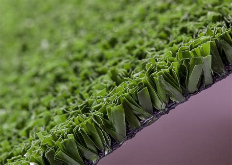 Moss And Algae On Artificial Grass Mosskillers