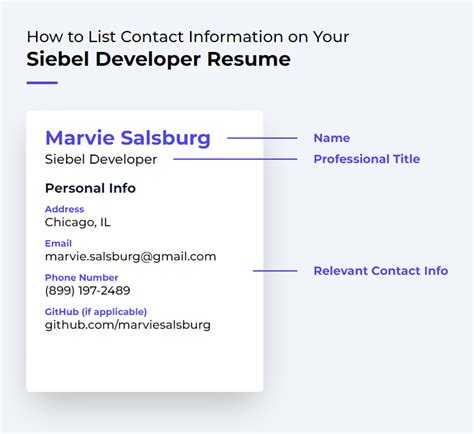 Siebel Developer Resume Examples And Templates Resumecat