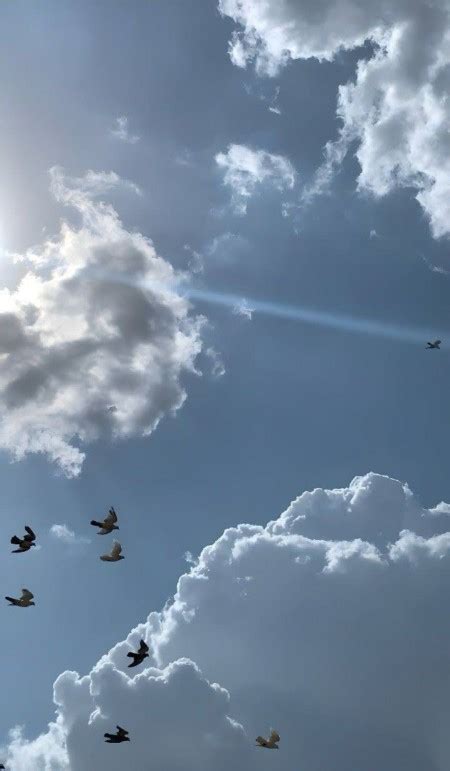 عکس های آسمان بهترین تصاویر آسمان پیشنهادی تاوعکس