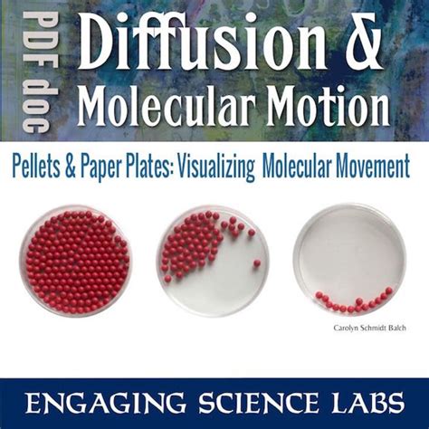 Diffusion Lab Visualizing Molecular Movement Using A Model New Esl Site