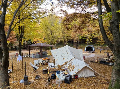 가을날의 향취 단양 캠핑장서 만끽
