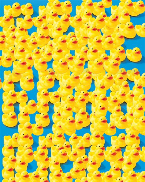 Duck Amy Moser You Are The Winner Of The Free Shark Week Dozen We