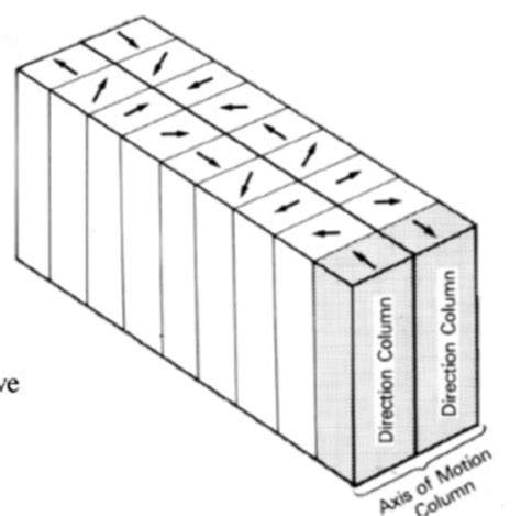 Lecture 10 Motion Perception Flashcards Quizlet