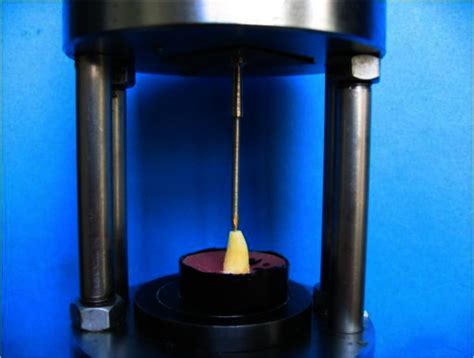 A Force Application Machine Instron Germany Was Used To Vertically