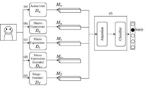 Overview Of The Proposed Mcam Framework Download Scientific Diagram