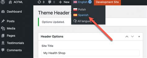 Translating The Acf Options Page Custom Fields With Wpml Wpml