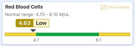 Low Iron Lab Result R Huel