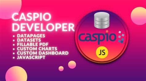 Develop Caspio Application Caspio Datapages Datasets By Combinezpk