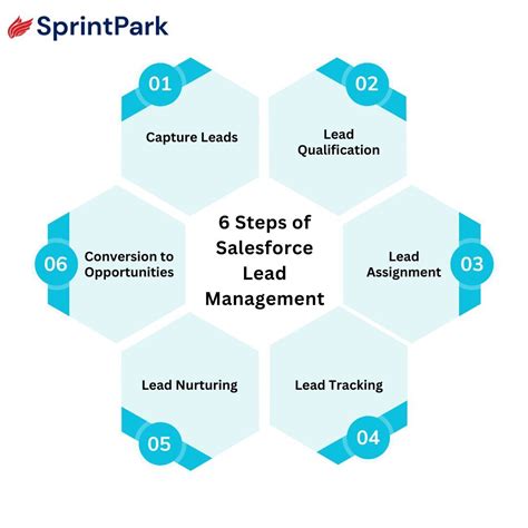 Boost Your Leads With Salesforce Lead Management Sprintpark Posted On The Topic Linkedin