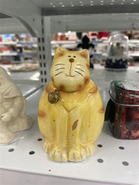 Cute Lil Catch And Release From Tonight Rthriftstorecats