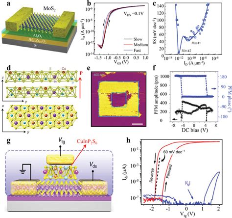 Ferroelectric Dielectrics In 2d Devices A Schematics Of Negative