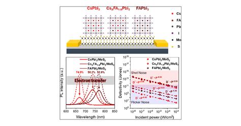 Zero Dimensional Two Dimensional Hybrid Photodetectors Using Multilayer Mos2 And Lead Halide