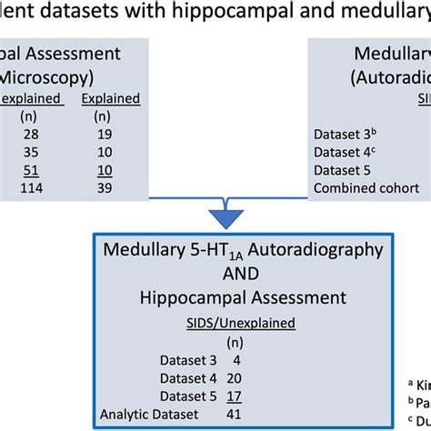 The Diagram Illustrates The Different Laboratory Datasets From Which