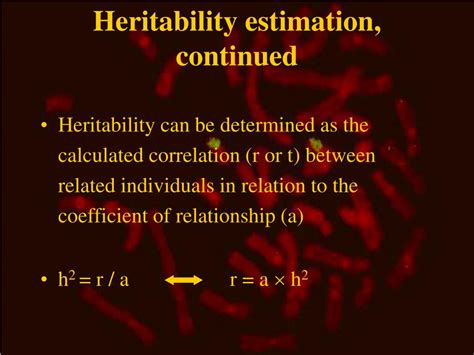 Ppt Chapter 6 Quantitative Traits Breeding Value And Heritability Powerpoint Presentation