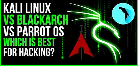 Nimra Ali S On Linkedin Cybersecurity Penetrationtesting Ethicalhacking Linux Kali Parrot