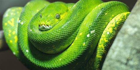 Depurar Python Como Un Pro DEV Community