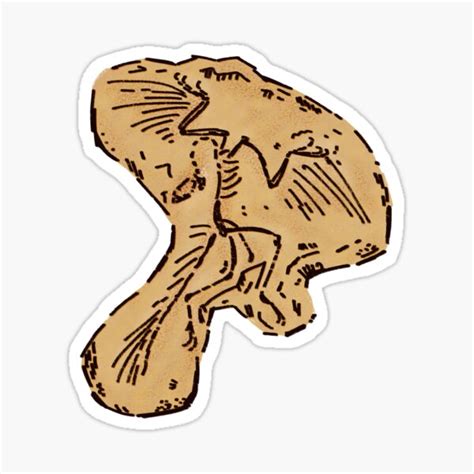Archaeopteryx Fossil Lineart Sticker For Sale By Thekittyburger Redbubble