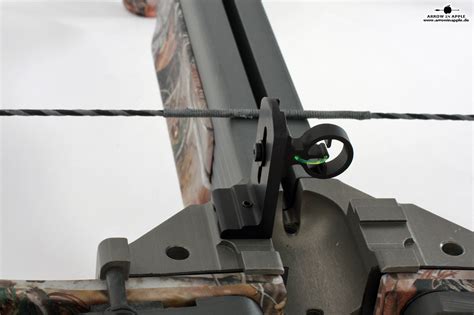 Excalibur Ibex Arrow In Apple