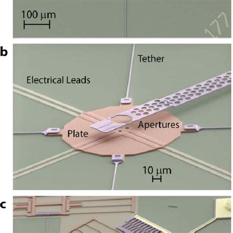 False Color Sem Micrographs Of The Mems Writer A Electrostatic Comb